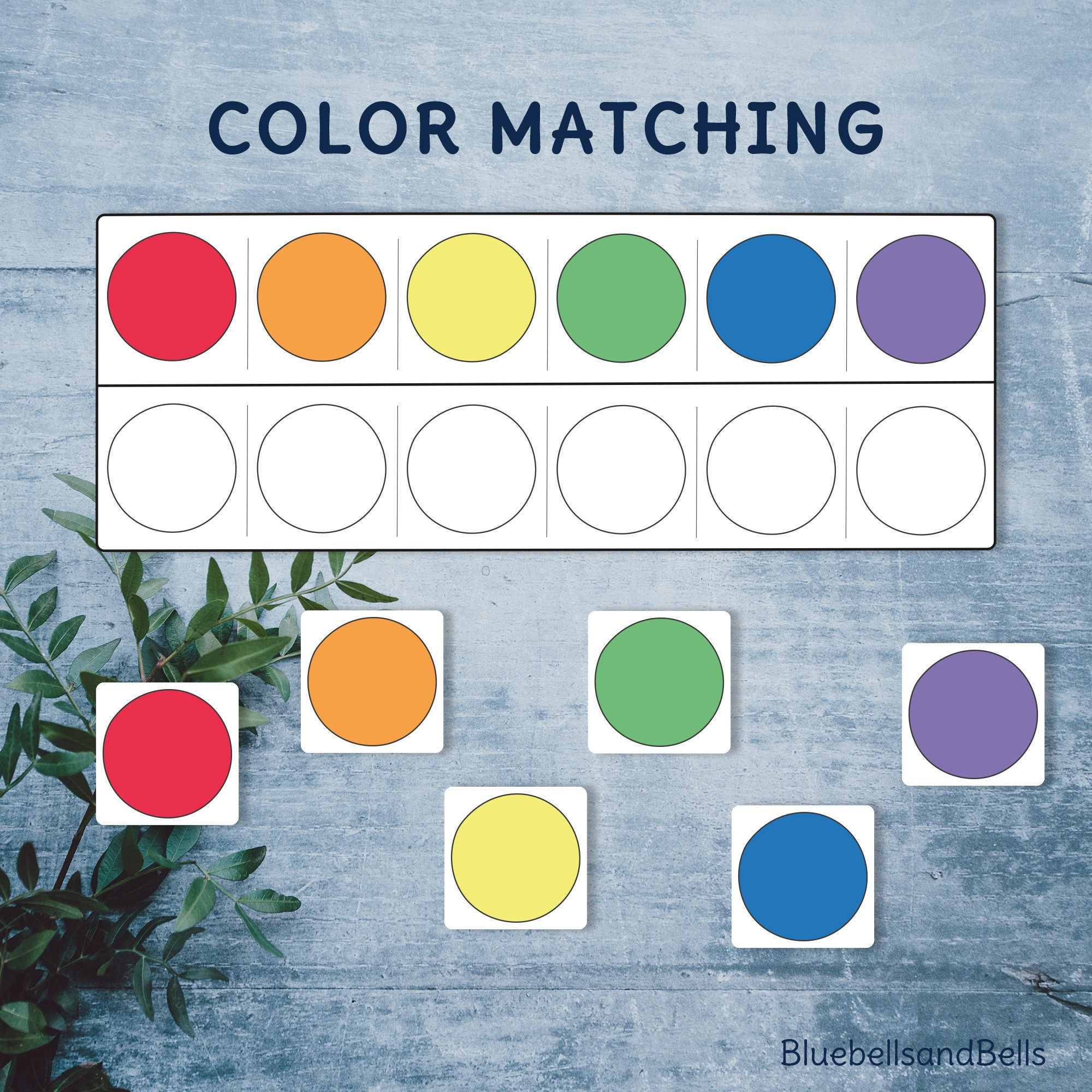Montessori Color Matching Toddler Activity - Etsy