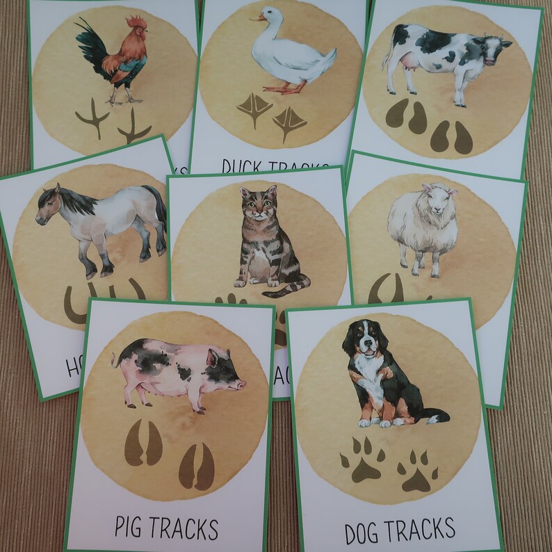 Farm Animal Tracks Flashcards. Montessori Spring Printable. - Etsy
