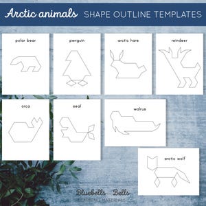Arctic Animals Pattern Blocks Templates. Antarctic Animals Shape ...