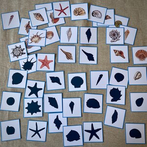 Seashell Shadow Matching Cards. Montessori Preschool Ocean Printable ...