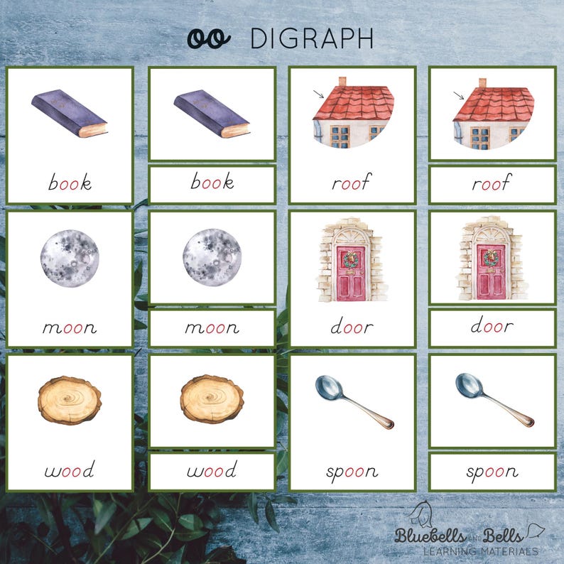 Vowel Digraphs 3-part Cards. Green Series Printable. - Etsy