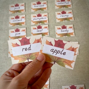 Fall Parts of Speech Sorting Printable Cards. Noun, Verb, Adjective ...