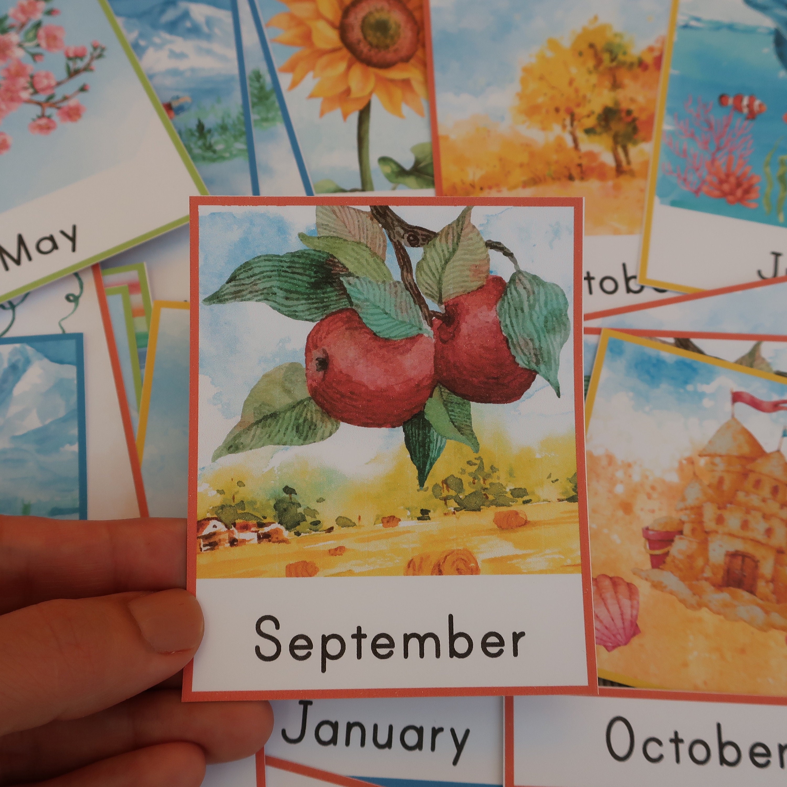 Months of the Year Montessori Printable Three Part Cards. | Etsy