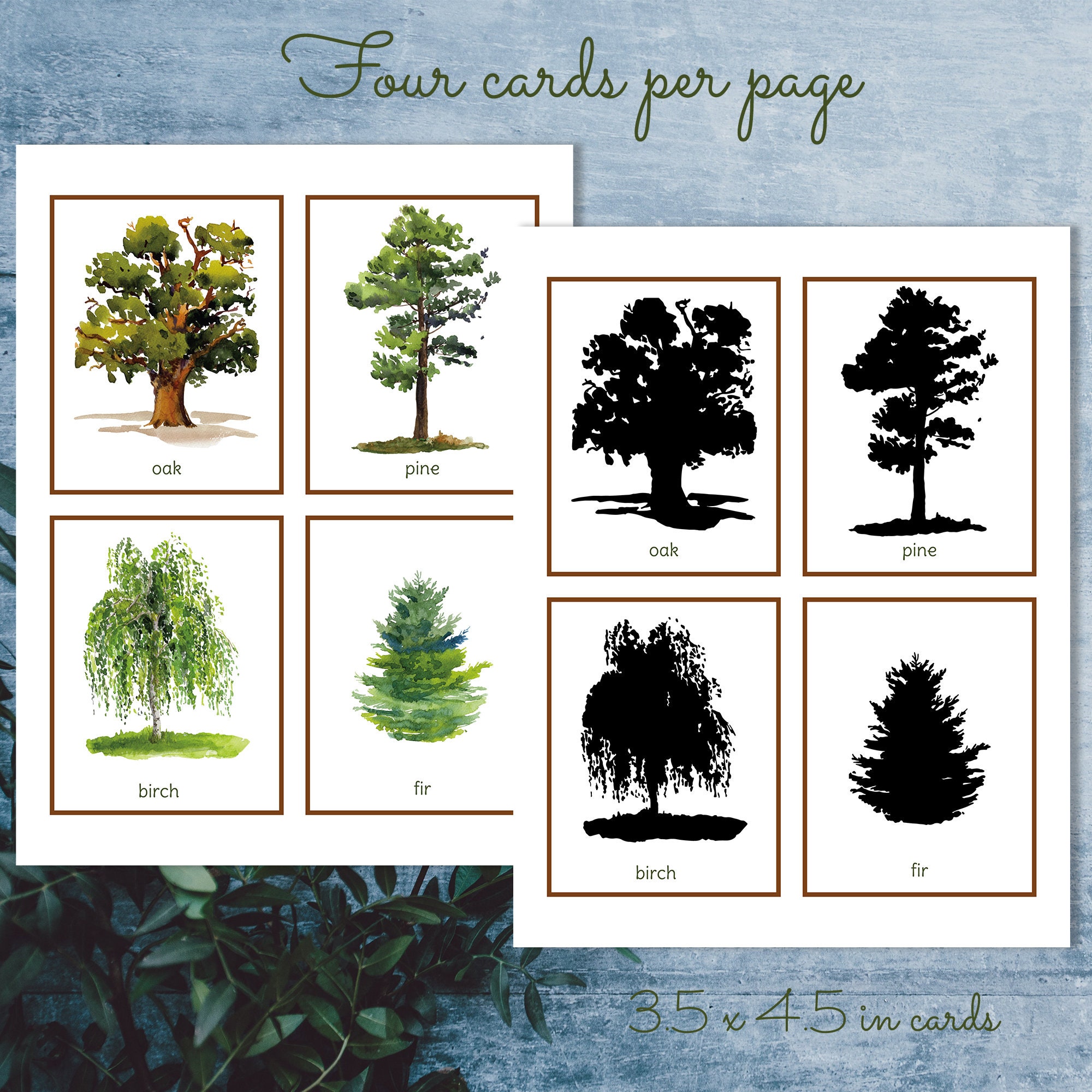 Trees Flash Cards and Shadow Matching Cards. Watercolor - Etsy UK