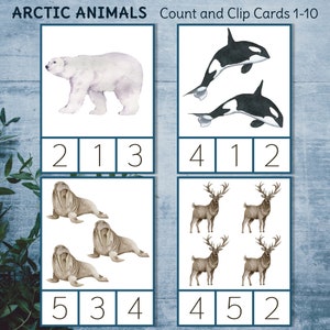 Arctic Animals Count and Clip Cards 1-10. Winter Preschool Math ...