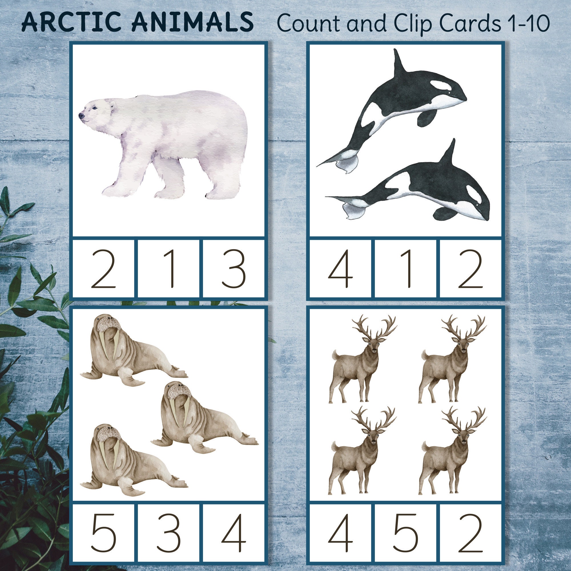 Arctic Animals Count and Clip Cards 1-10. Winter Preschool - Etsy
