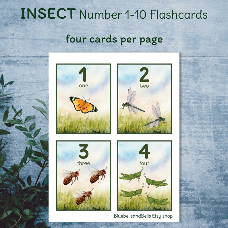 Insect Preschool Printable Number 1-10 Flashcards. Toddler | Etsy