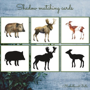 Woodland Animal Montessori Printable Shadow Matching Cards. Toddler ...