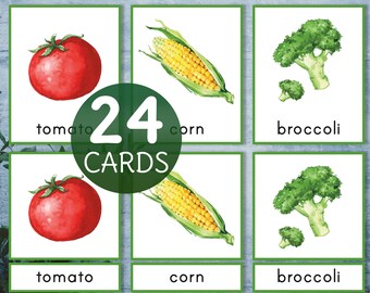 Montessori Printable Shapes Flash Cards. Preschool Matching - Etsy