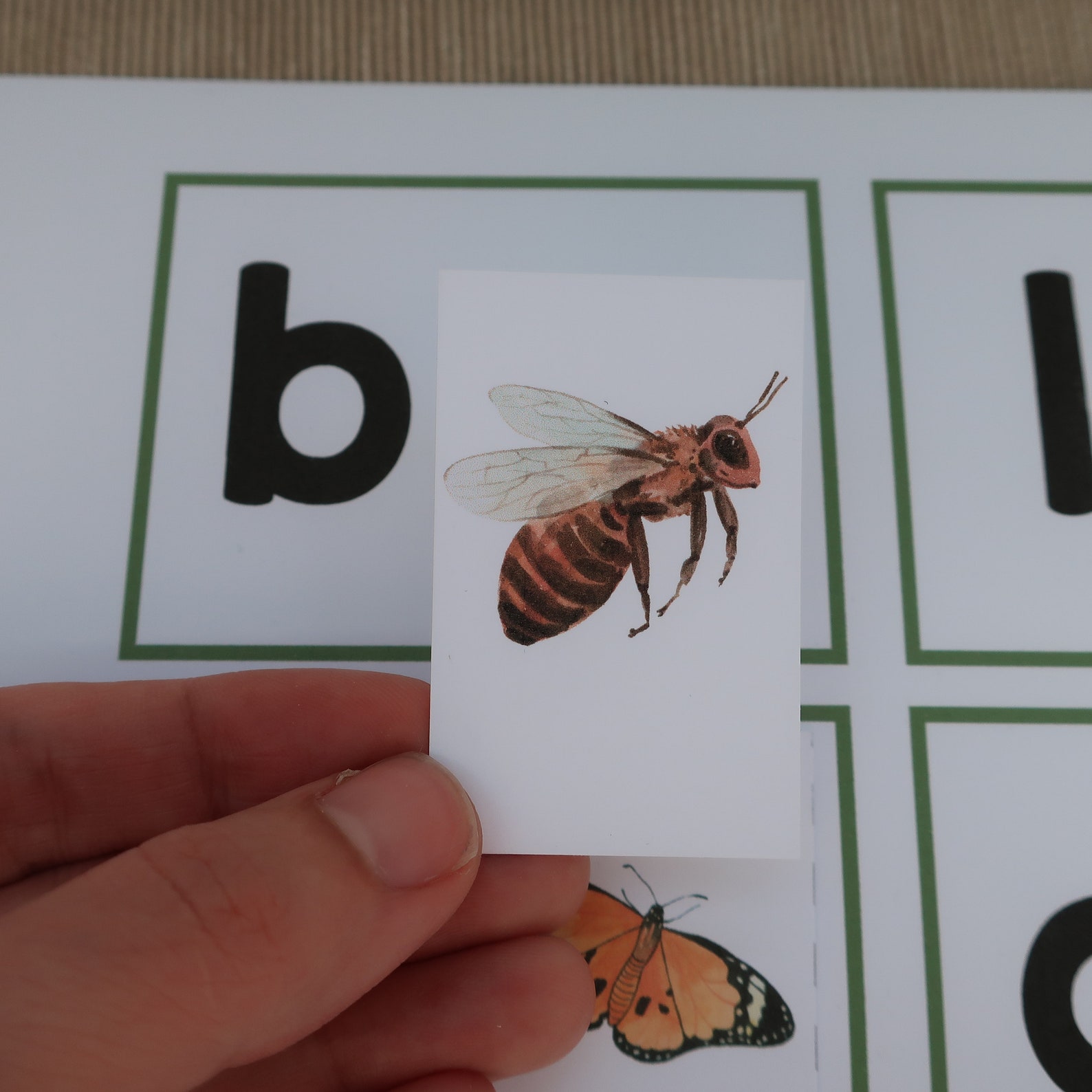 Phonics Printable INSECTS. Spring Preschool and Kindergarten - Etsy