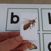 Phonics Printable INSECTS. Spring Preschool and Kindergarten - Etsy