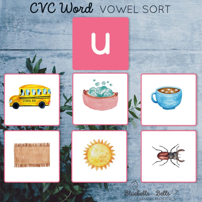 CVC Word Sort Vowel. CVC Word Printable Chart With Pictures. - Etsy