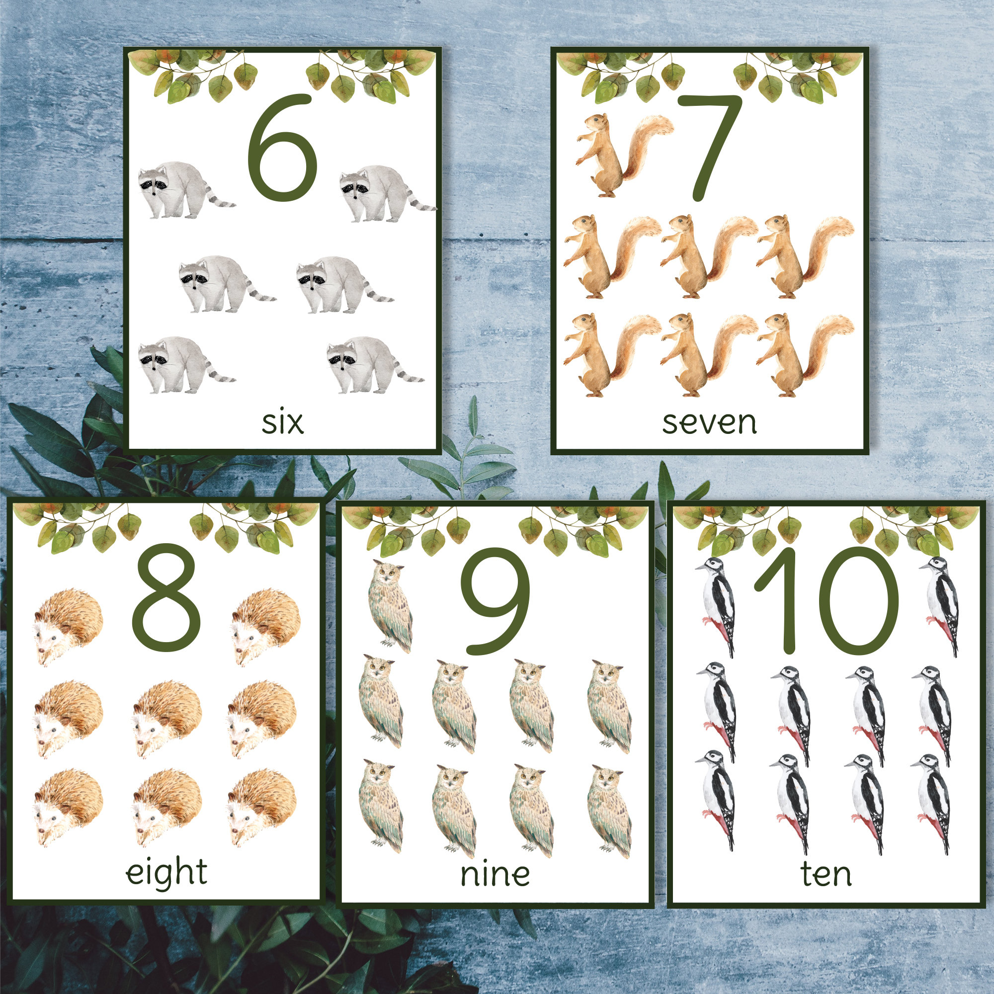 Woodland Animals Number Flashcards 1-10. Nature Counting Cards | Etsy