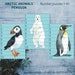 Arctic Animals Preschool Printable Puzzles 1-10. Penguin Number ...