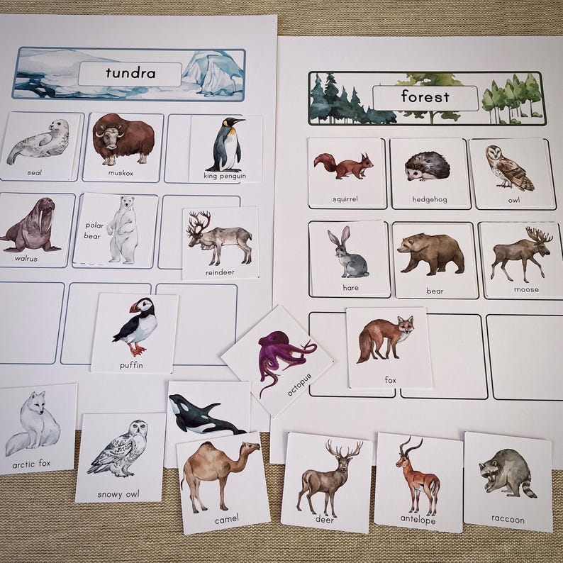 Animal Habitats Sorting Activity and Chart. Montessori Preschool and ...