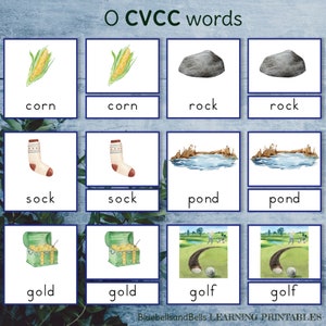 Montessori Printable CCVC Words 3-part Cards. Ending Blends Reading ...