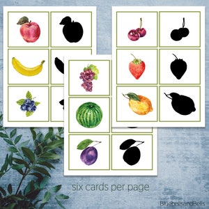Fruit Shadow Matching Cards. Montessori Preschool Printable. Toddler ...