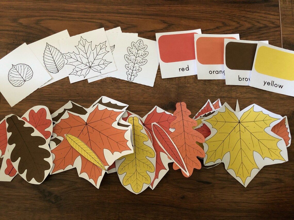 Color Sorting Fall Leaves Activity for Preschool. Shape Sorting ...