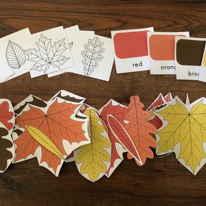 Color Sorting Fall Leaves Activity for Preschool. Shape Sorting ...
