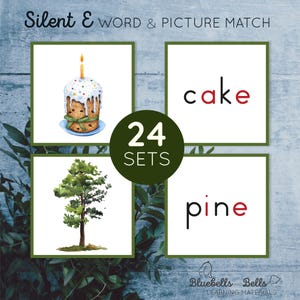 Silent E Montessori Green Series Picture Word Matching Activity. - Etsy