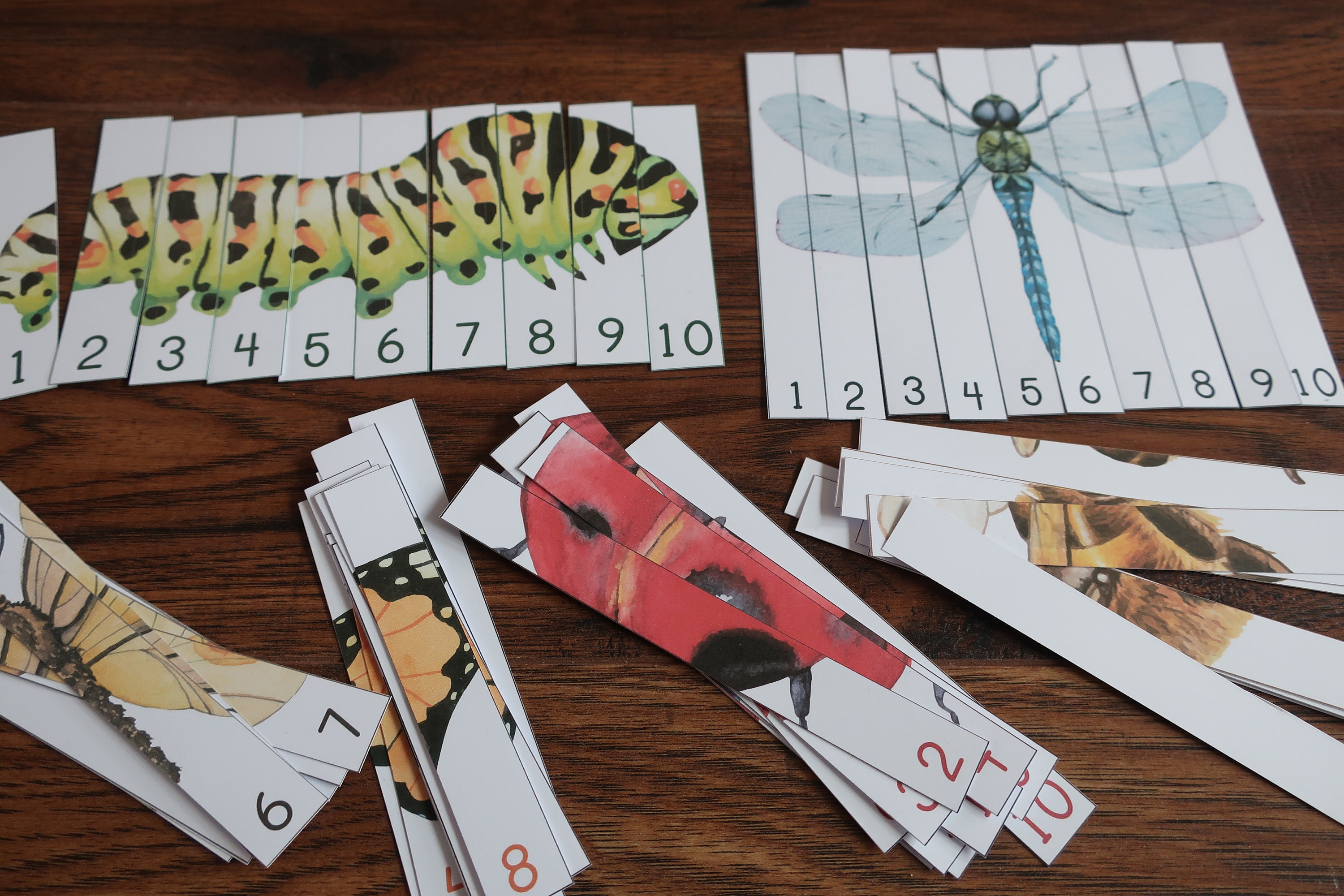 Insect Preschool Printable Number Sequence Puzzles 1-10. Montessori ...