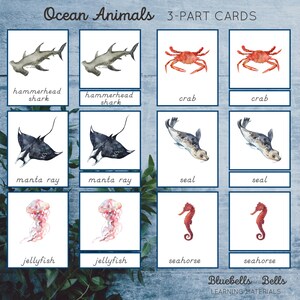 Ocean Montessori Printable 3 Part Cards. Preschool Vocabulary Cards ...