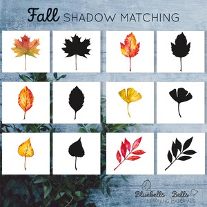 Autumn Shadow Matching Montessori Printable. Fall Nature Activity ...