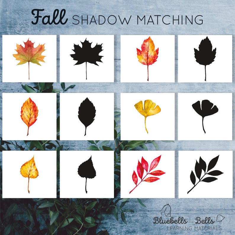 Autumn Shadow Matching Montessori Printable. Fall Nature Activity ...