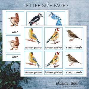 Birds Montessori Printable 3-part Cards. Spring Vocabulary Activity for ...