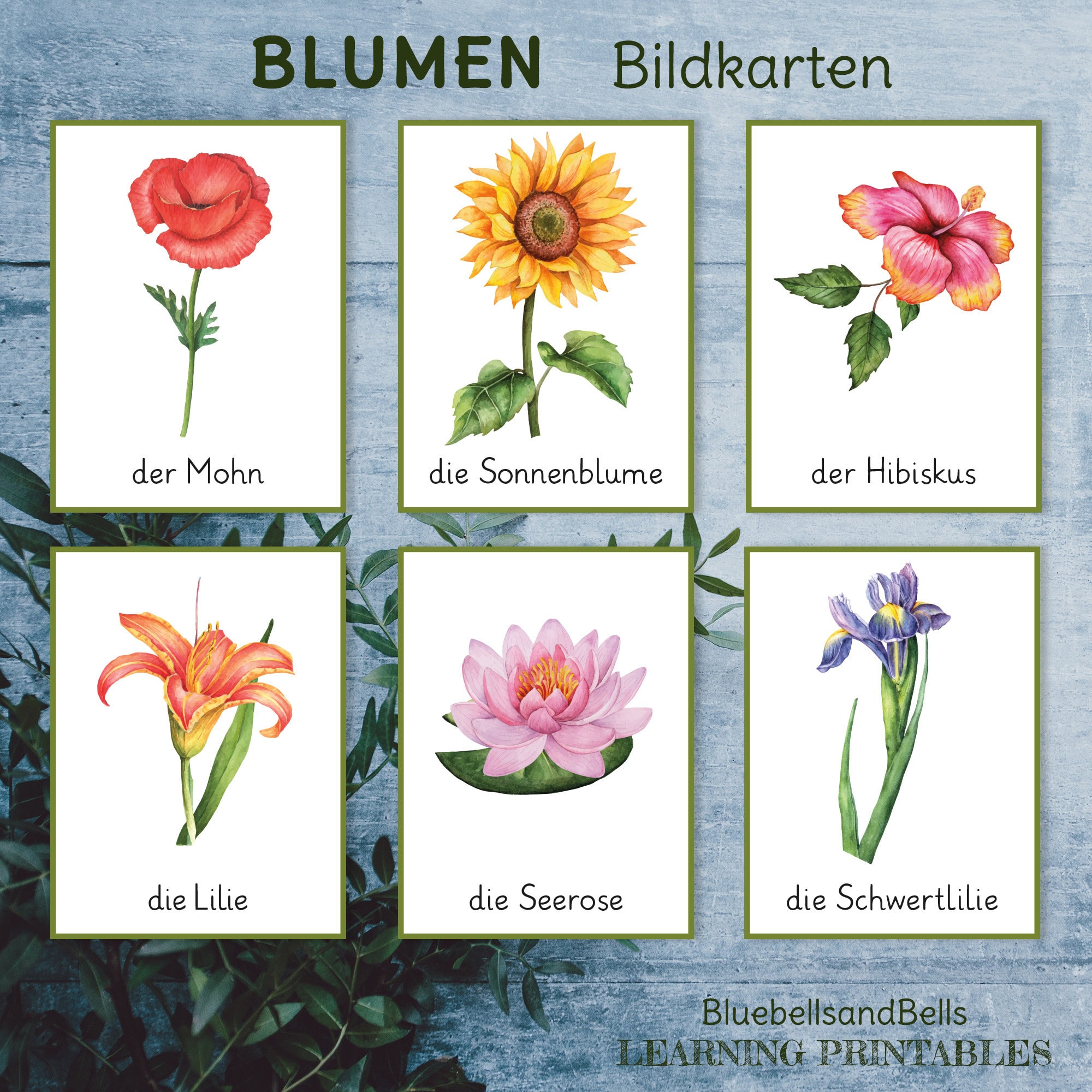 Blumen Bildkarten. Wortschatz Kindergarten Und Vorschule Druckbare ...