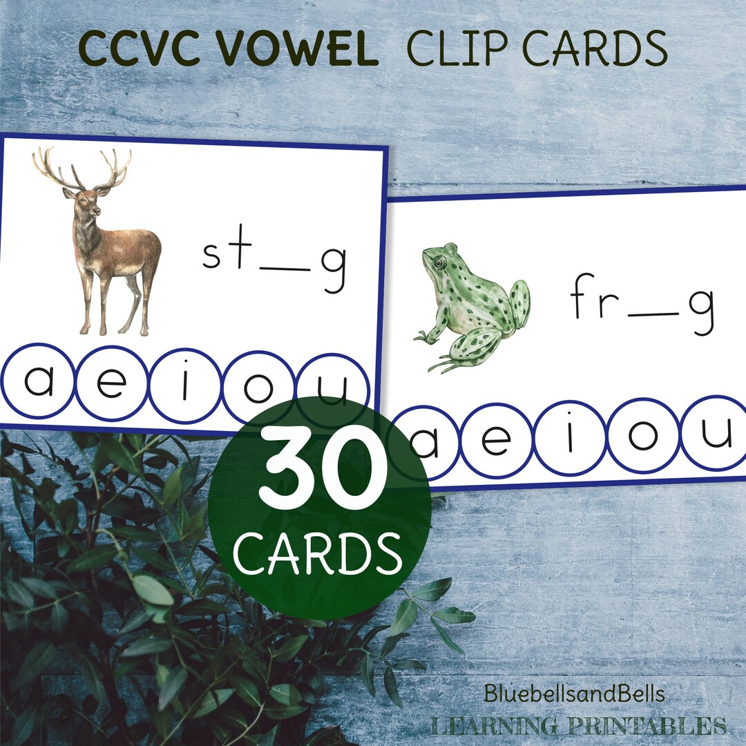 Montessori Phonics Printable CCVC Words Missing Vowel Clip Cards. Blue ...