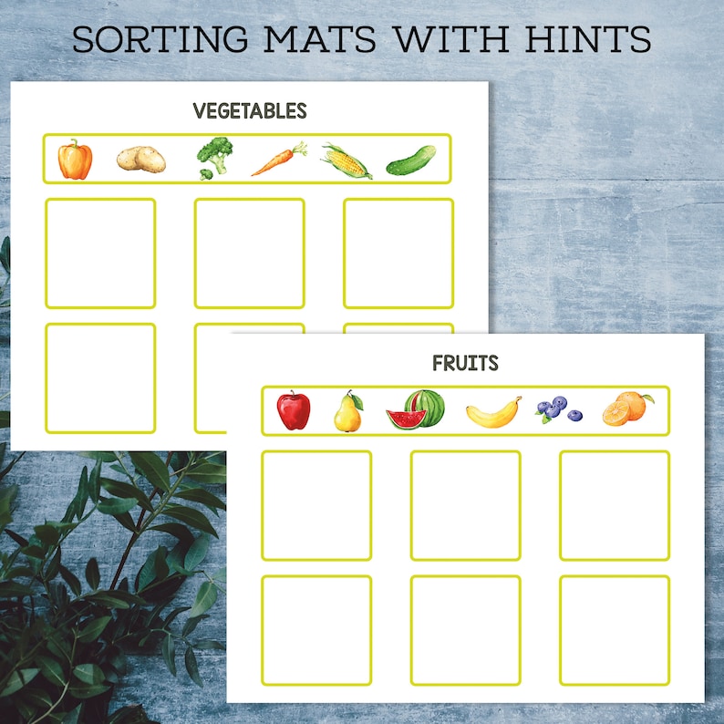 Fruit and Vegetable Sorting Activity for Toddlers. Preschool Category ...