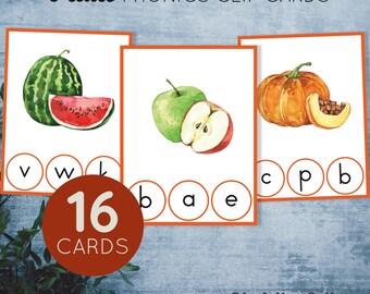 Fruit Beginning Letter Sound Clip Cards| Printable Digital Download ...