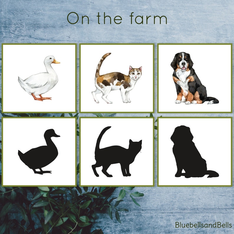 Farm Animal Shadow Matching Cards. Toddler Montessori - Etsy