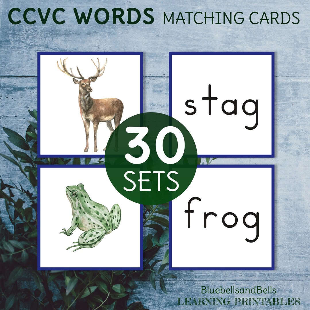 Beginning Blend CCVC Word and Picture Matching Activity. Blue Series ...