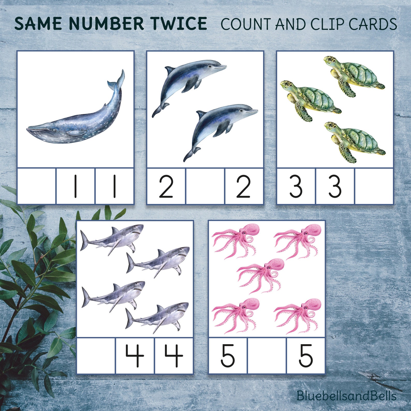 Special Education Errorless Count and Clip Cards 1-10 Ocean. - Etsy