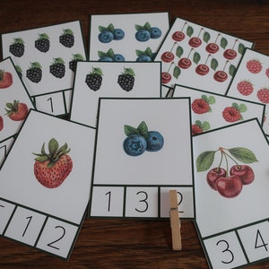 Berries Count and Clip Cards 1-10. Montessori Summer Printable ...