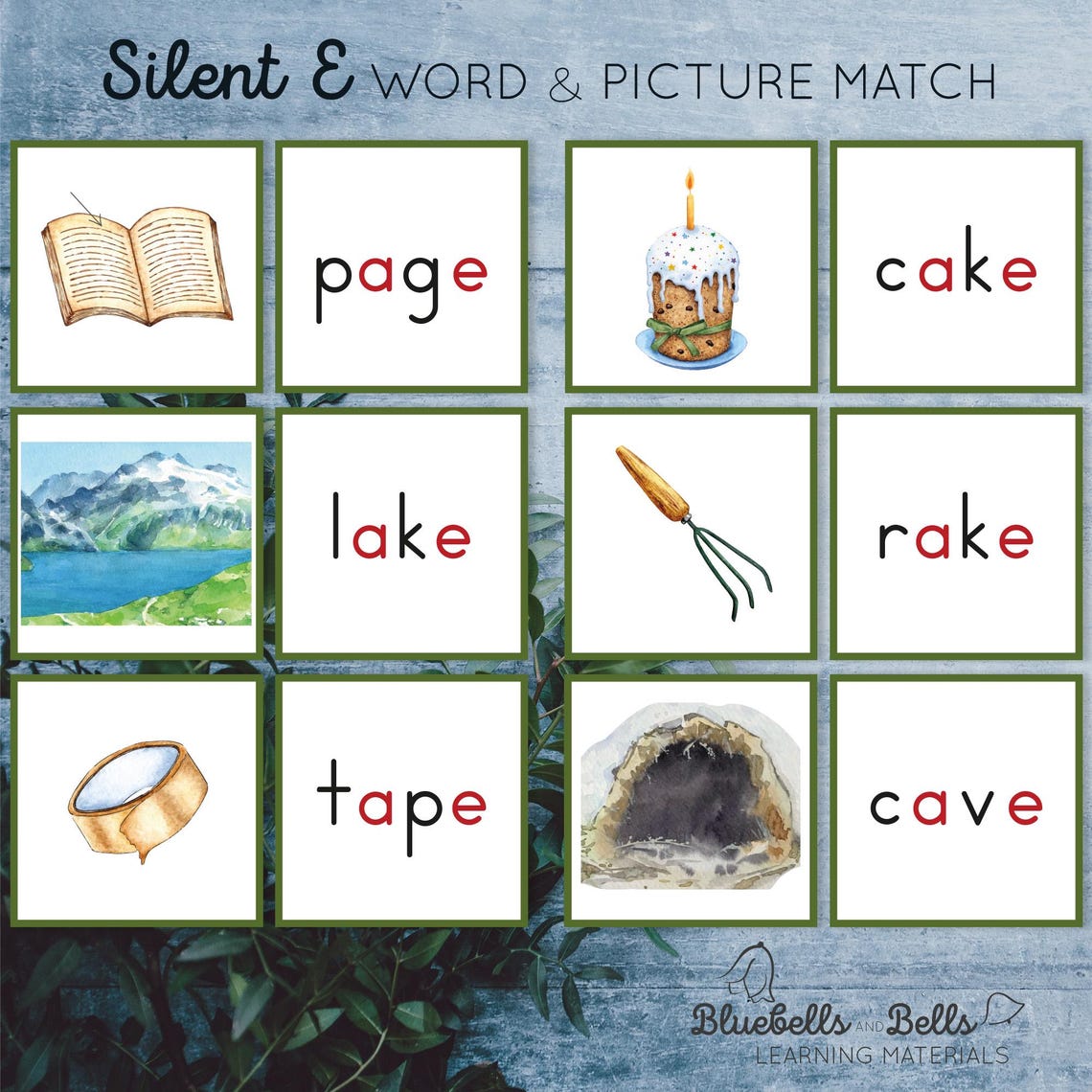 Silent E Montessori Green Series Picture Word Matching Activity. - Etsy