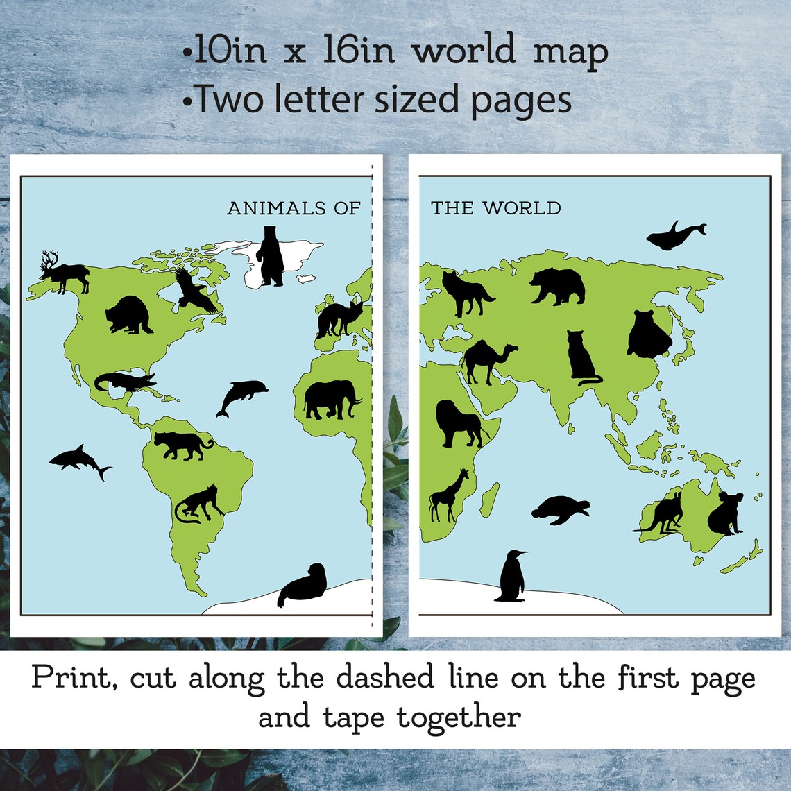 Animals of the Continents Shadow Matching Activity. Montessori - Etsy