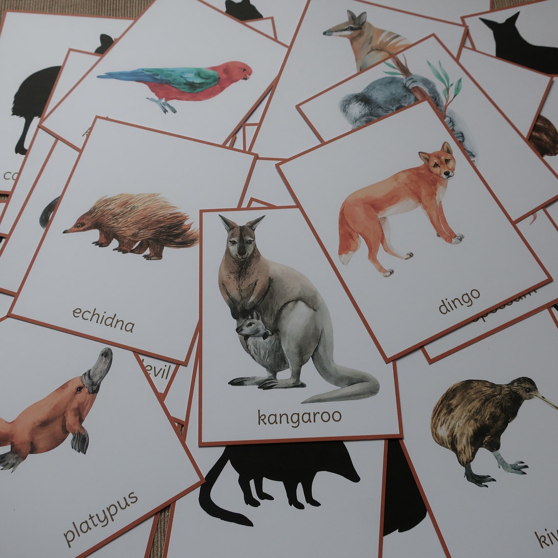 Australia Animal Flashcards and Shadow Matching Cards. - Etsy