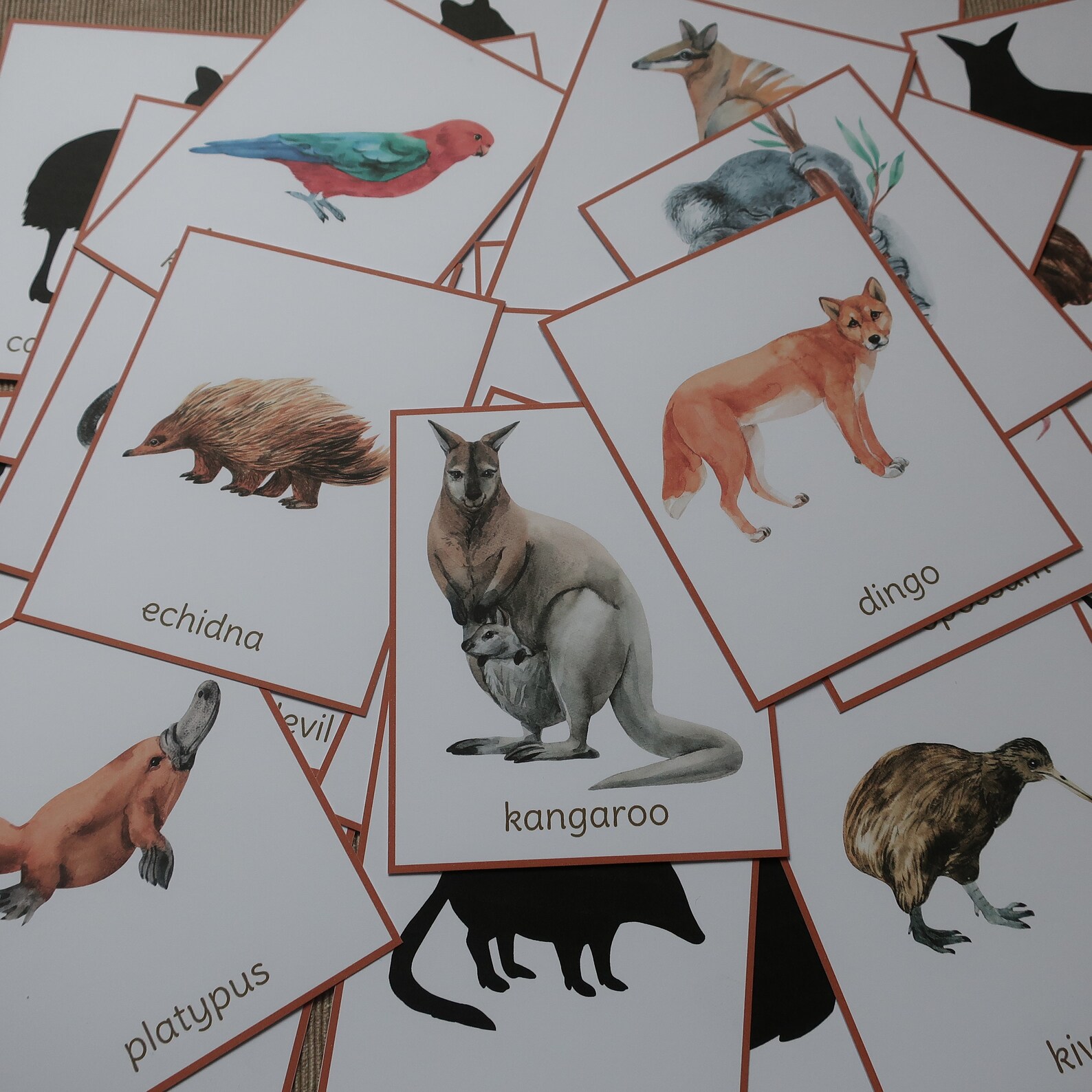 Australia Animal Flashcards and Shadow Matching Cards. - Etsy