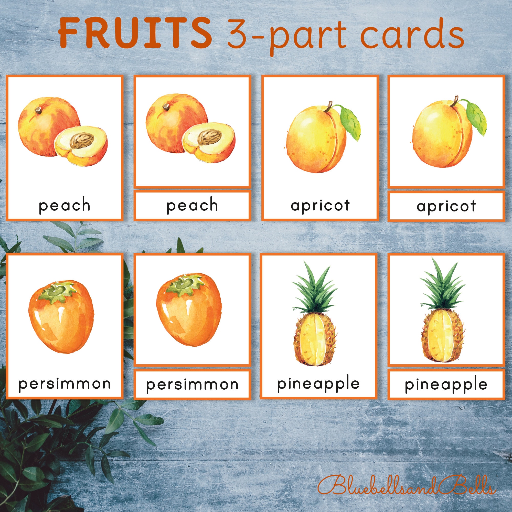 Fruits Montessori Three Part Cards. Vocabulary Activity for - Etsy