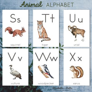 Animal Alphabet Cards. Watercolor Letter Flash Cards. Classroom ABC ...