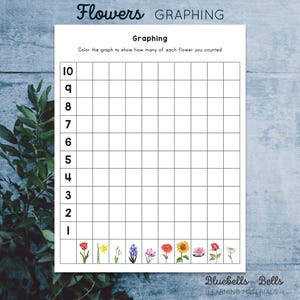 Graphing Printable Flowers. Preschool and Kindergarten Math Activity ...