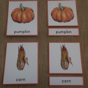 Fall Montessori Printable 3 Part Cards. Autumn Vocabulary for Preschool ...
