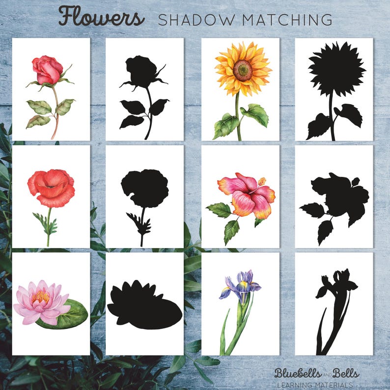 Flower Printable Shadow Matching Cards. Montessori Spring Preschool ...