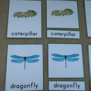 Insect Montessori Printable 3-part Cards. Preschool and Kindergarten ...