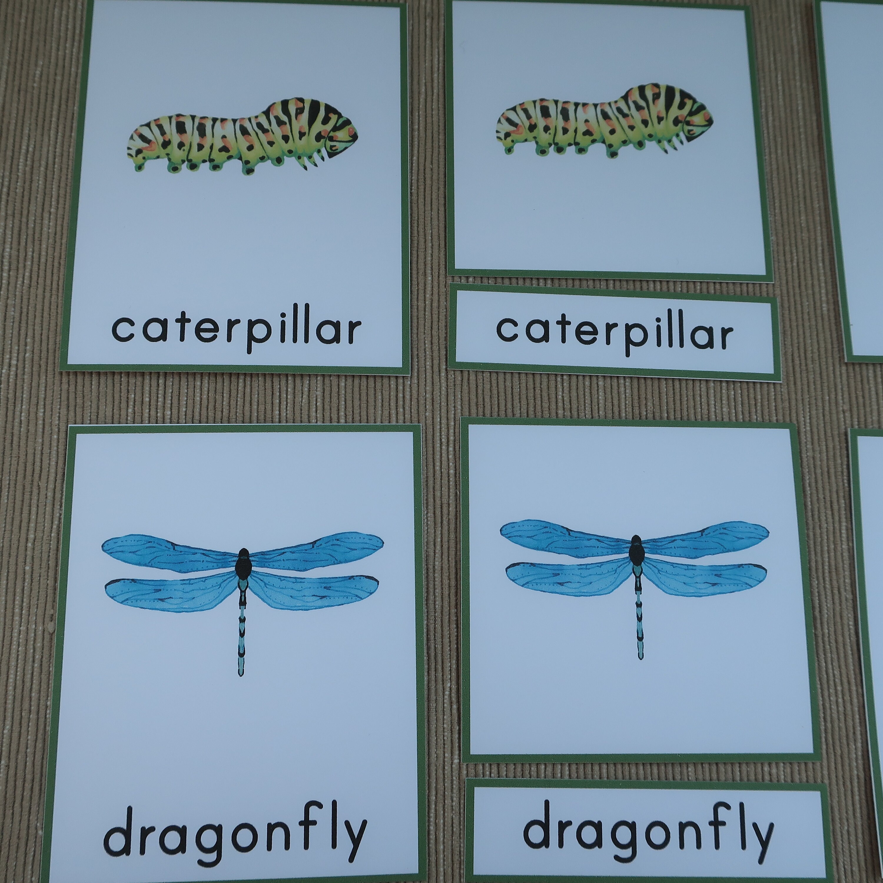 Insect Montessori Printable 3-part Cards. Preschool and Kindergarten ...