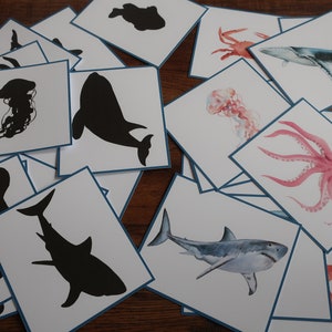 Ocean Animal Shadow Matching Cards. Montessori Summer Preschool ...