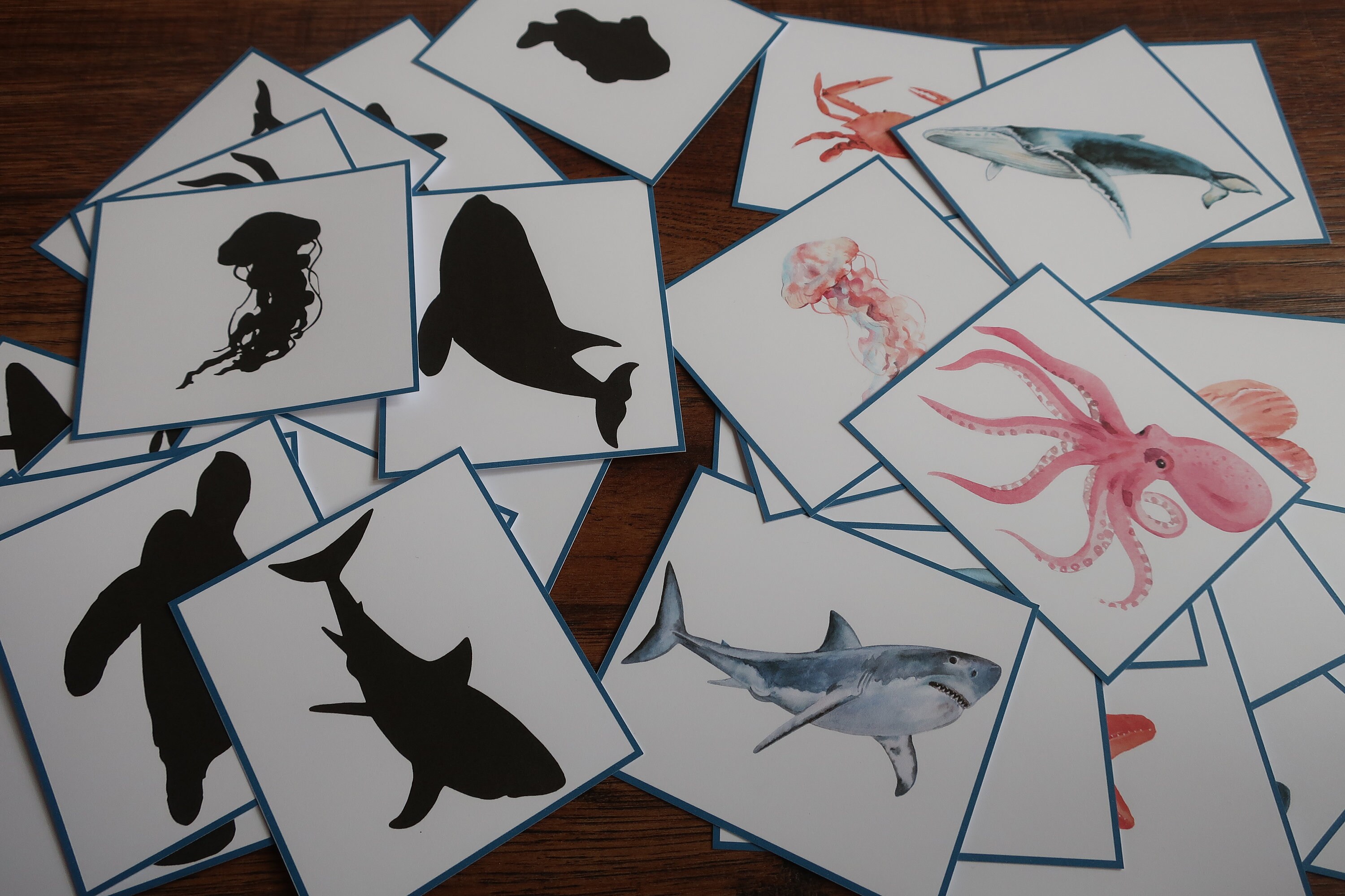 Ocean animal shadow matching cards. Montessori summer | Etsy